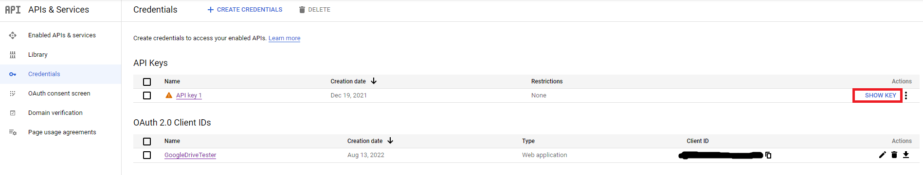 How to use OAuth 2.0 to Access Google API Services - Algorithmic World ...